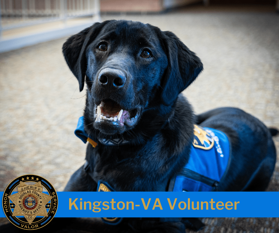 Douglas County Sheriff's Office Seeking Victim Assistance Volunteers ...