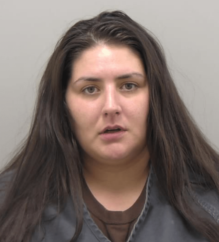 Arrests Made in Cougar Run Elementary Vehicle Trespass and Theft ...