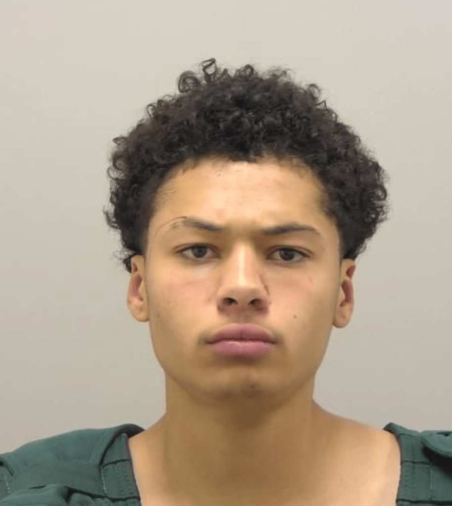 Homicide Investigation in Castle Pines: One Deceased, One Injured – Suspect in Custody - Douglas ...